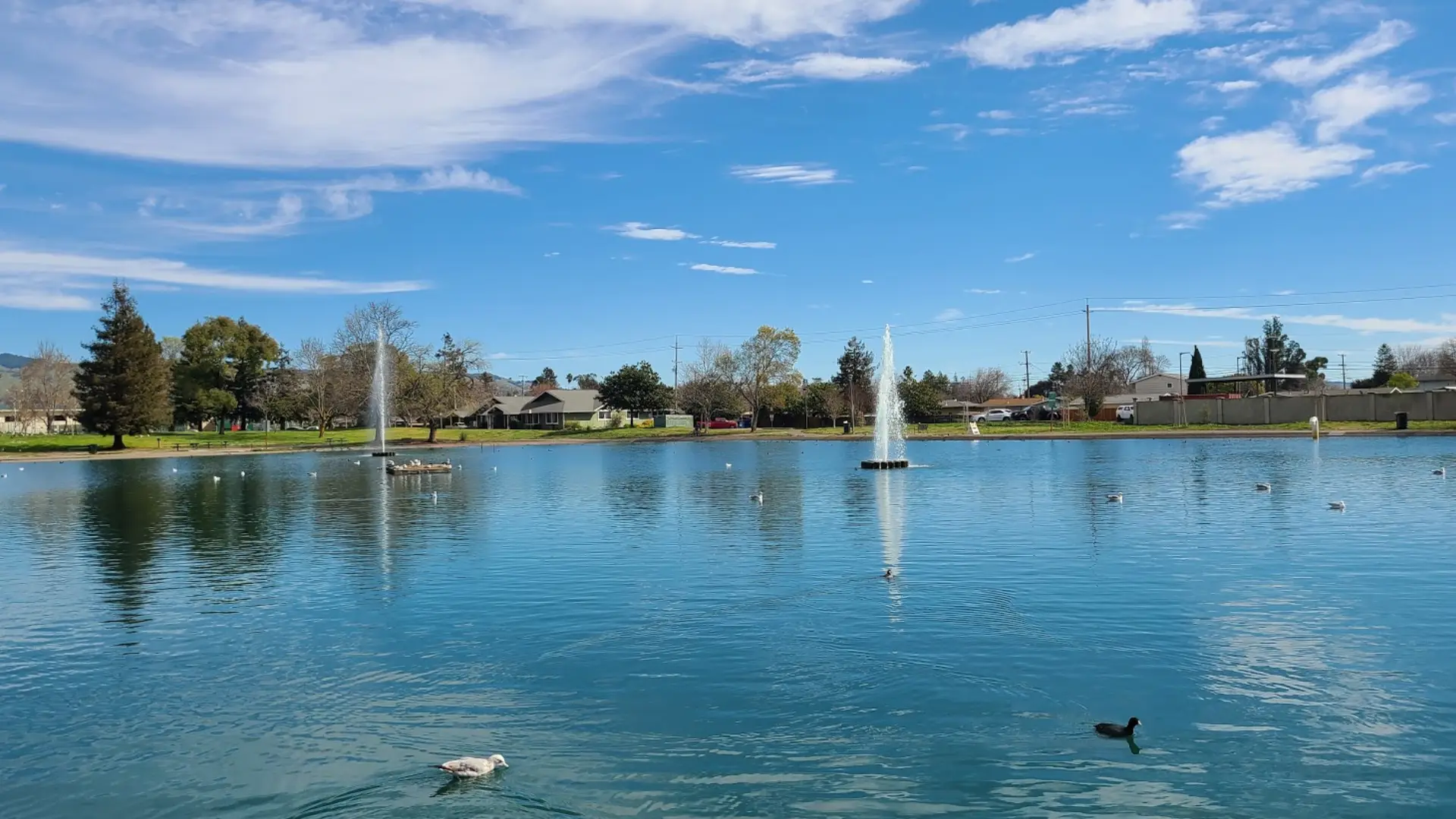 Exploring Lucchesi Park: Top Activities and Attractions in Petaluma, CA